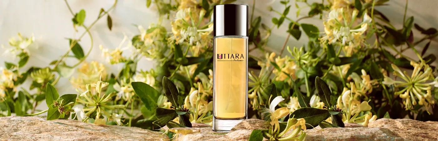 Memilih parfum sesuai dan mengenal aroma dasar isi parfum kamu | News ...